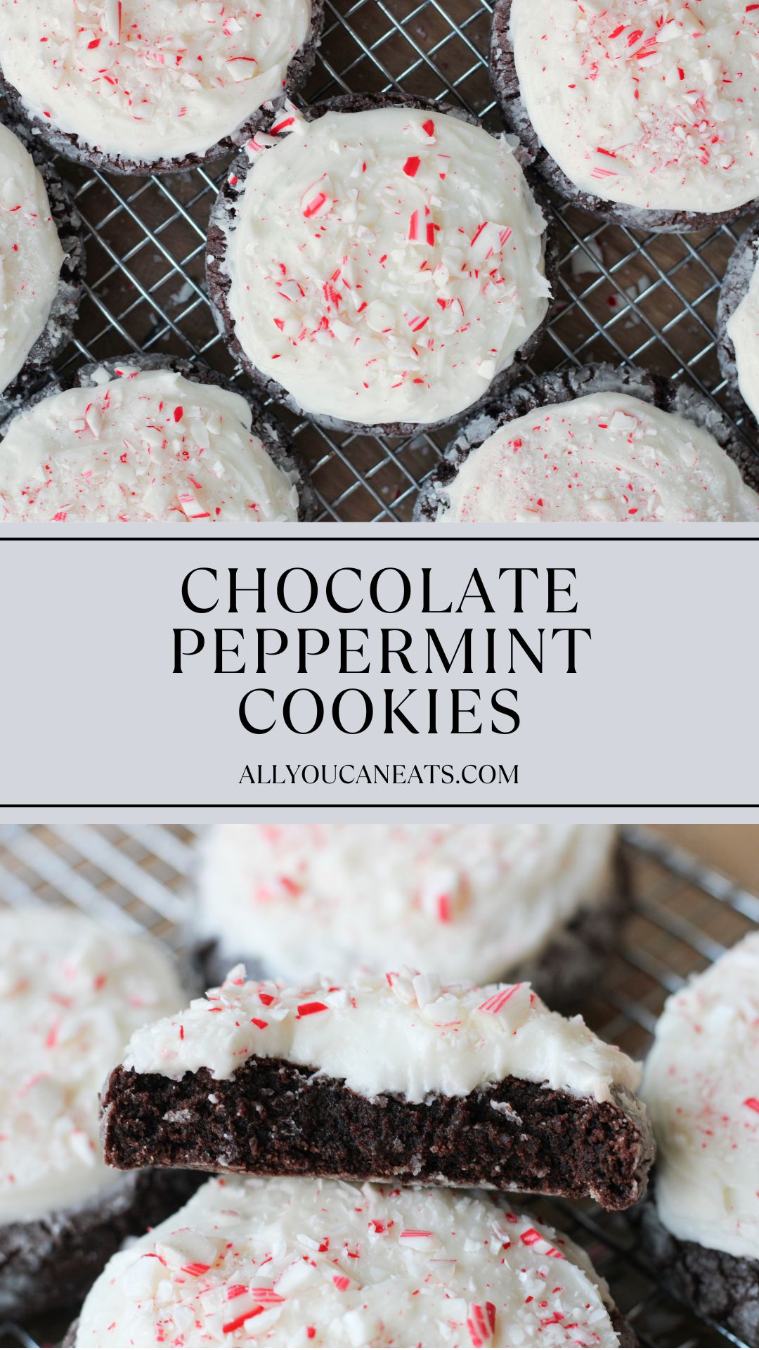 Chocolate Peppermint Cookies
